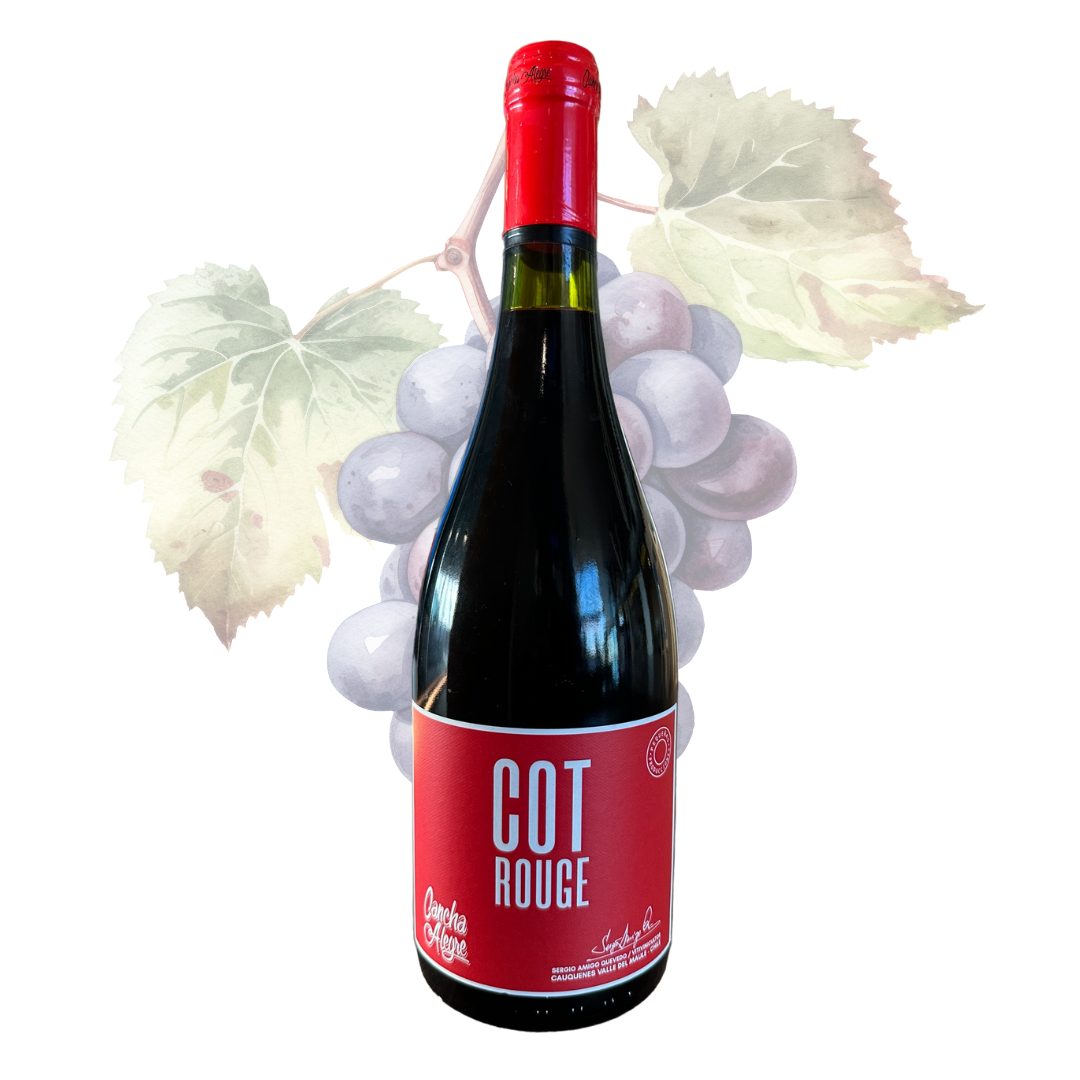 CANCHA ALEGRE - COT ROUGE 2016 - Vinosdelvalle