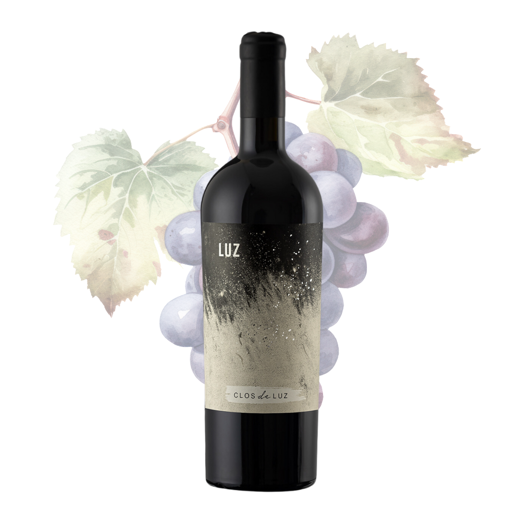 CLOS DE LUZ - LUZ ICONO - Carmenere - Vinosdelvalle