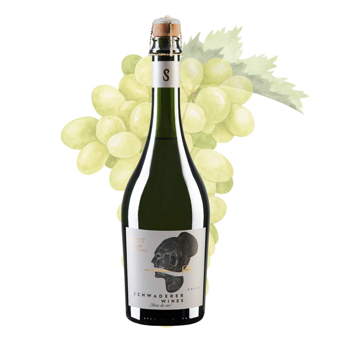 SCHWADERER - BRUT Semillon Tradicional 2020 - Vinosdelvalle